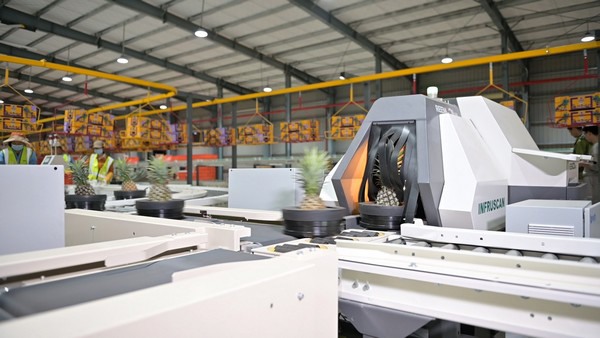 "Reemoon launches fully automated selection equipment capable of ...