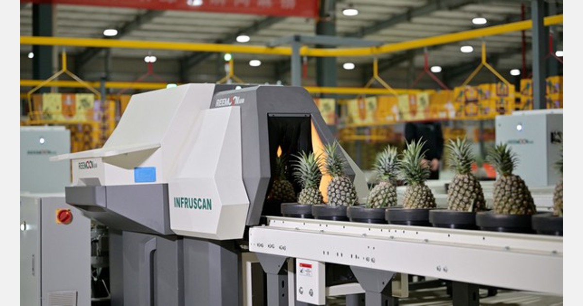 "Reemoon launches fully automated selection equipment capable of ...