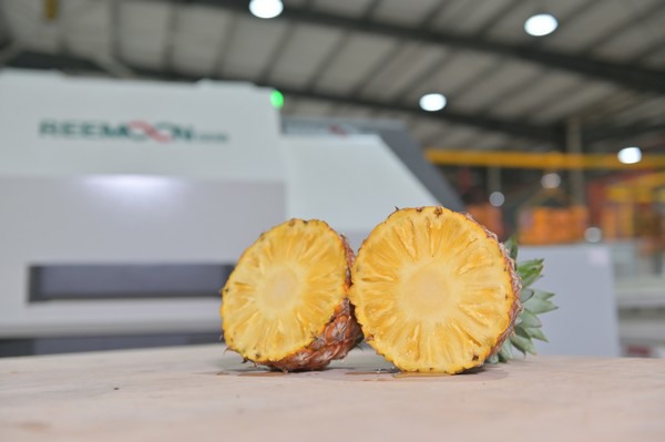 "Reemoon launches fully automated selection equipment capable of ...