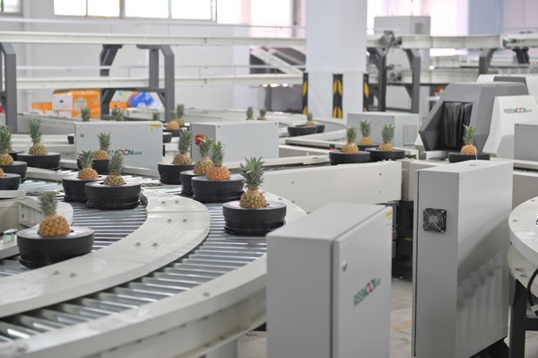 "Reemoon launches fully automated selection equipment capable of ...