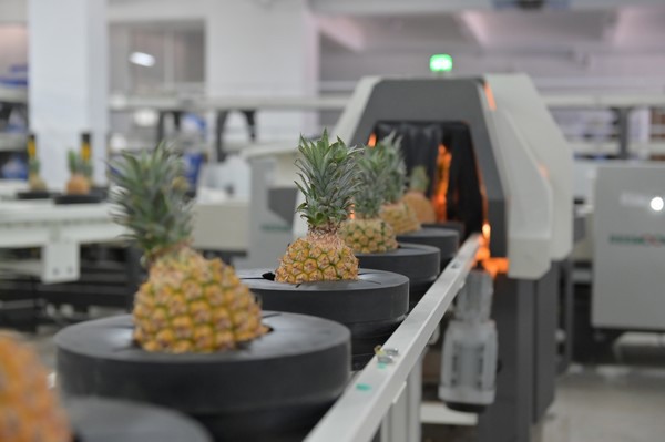 "Reemoon launches fully automated selection equipment capable of ...