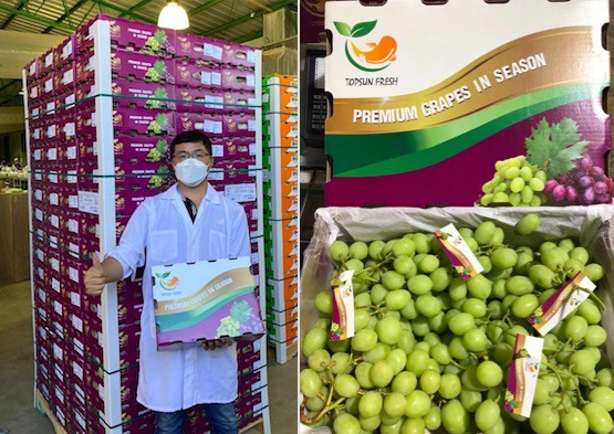 A complete overhaul of the Chilean grape industry