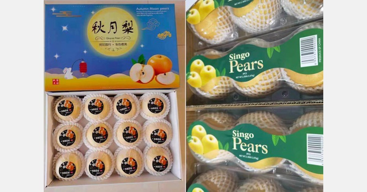 "Chinese pear exports to Brazil grow in volume"