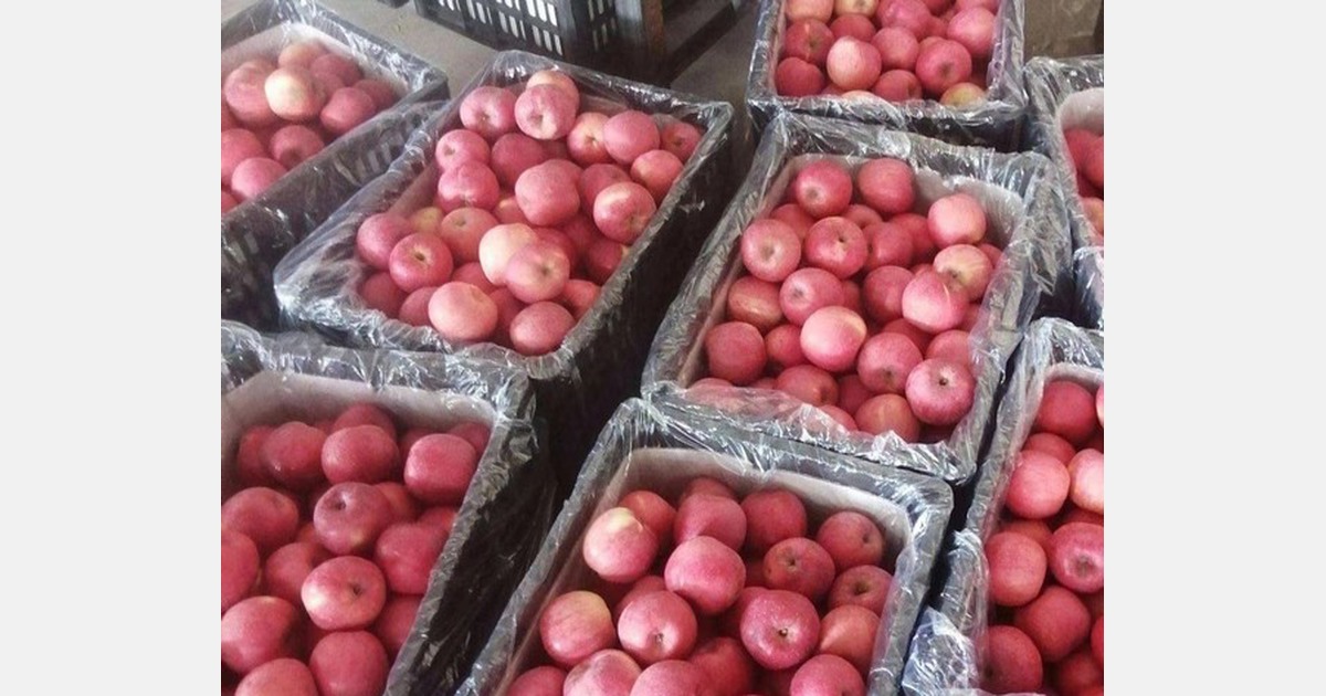 "In the peak season of apples, we are committed to providing customers ...