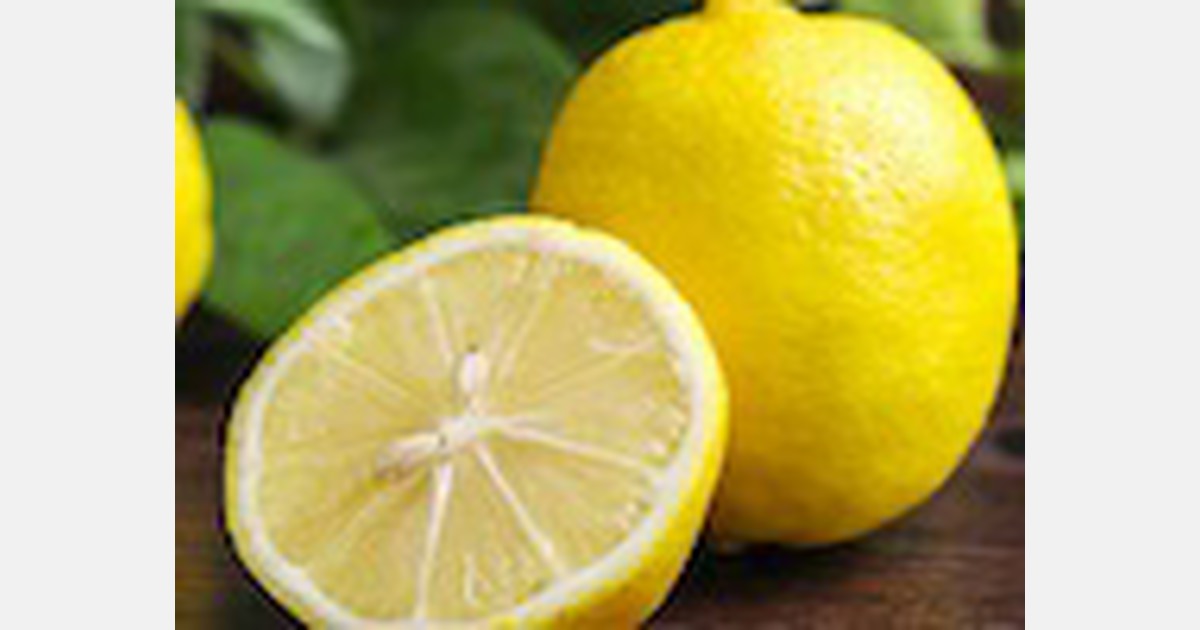Iranian citrus gains access to Chinese markets