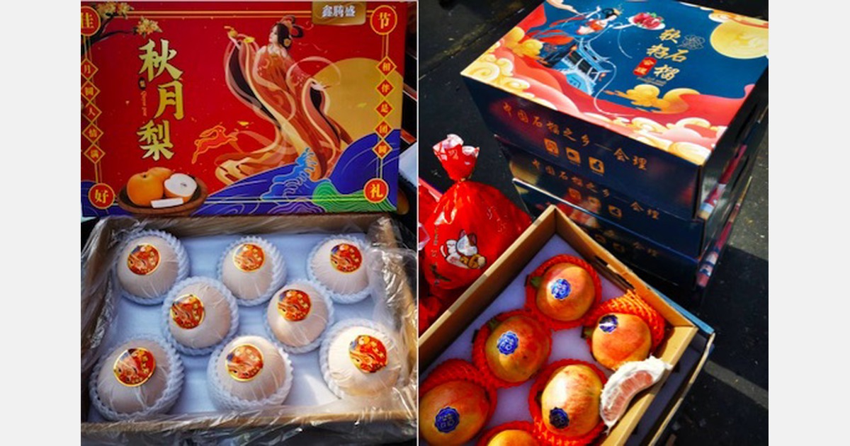 Guangzhou import market: Imported Peruvian blueberries increase in arrivals