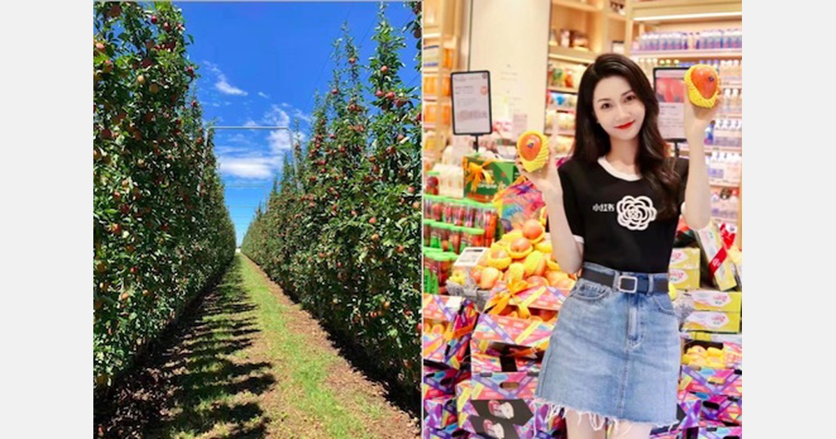 Sales volume of New Zealand Sonya apples doubled