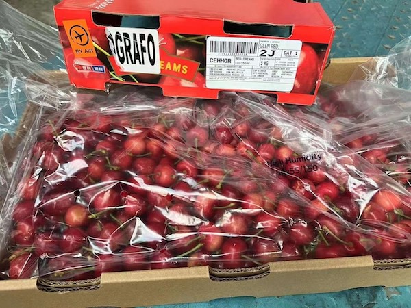 The first batch of 2022-2023 Chilean cherries landed in China by air