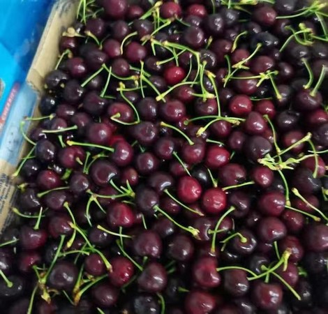 "Currently we have a wait-and-see attitude towards the market for ...