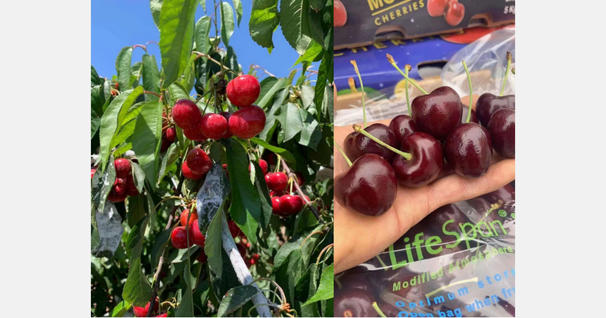 "Currently we have a wait-and-see attitude towards the market for ...