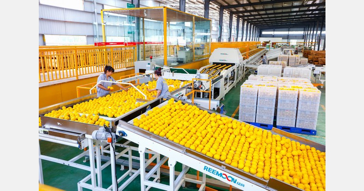 "We are bullish about Middle East lemon export market"