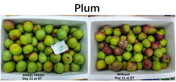 "The market response to fresh-keeping sachets and cards that can be ...