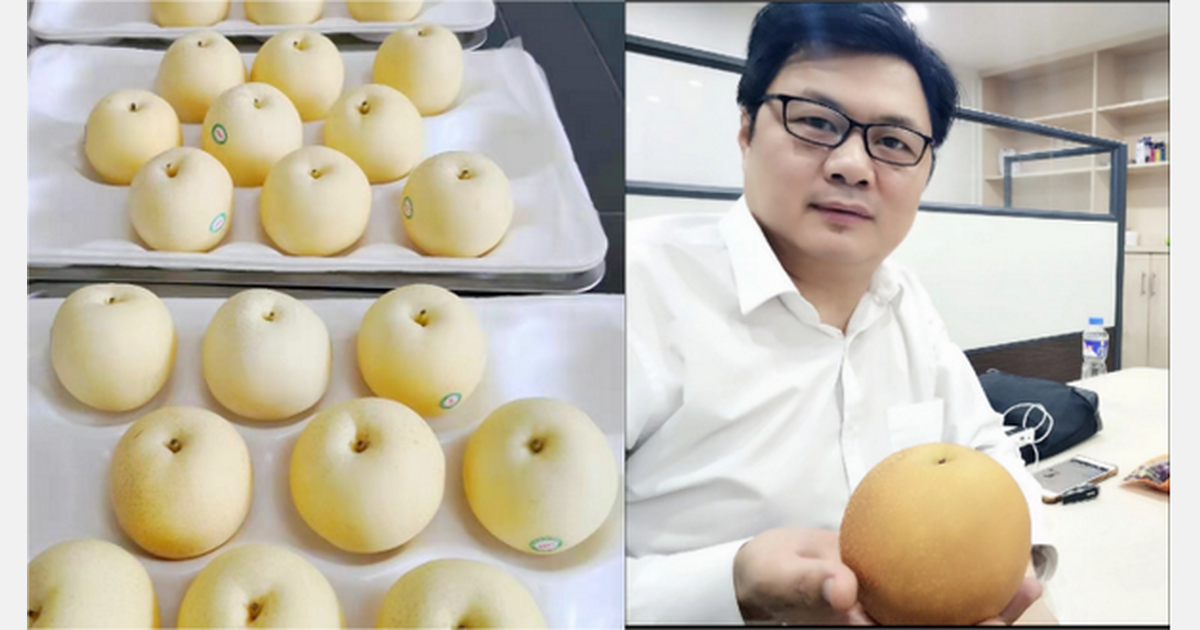 The demand for fresh pears in the Chinese market has surged several times