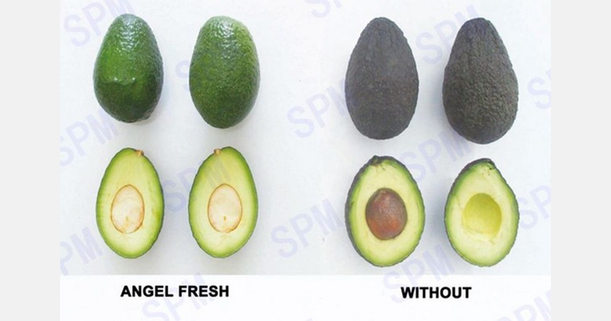 "Retailers increase avocado sales, leading to higher demand for fresh ...