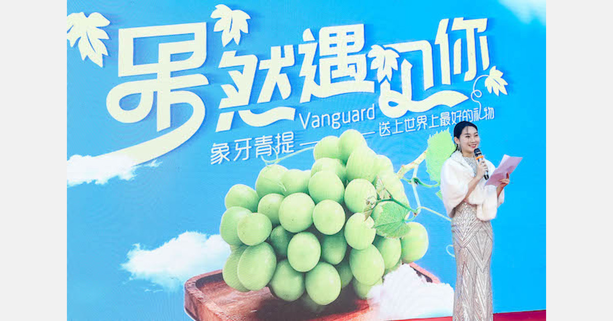 China: Vanguard, SNFL and Riverking jointly launch new IvoryTM grapes