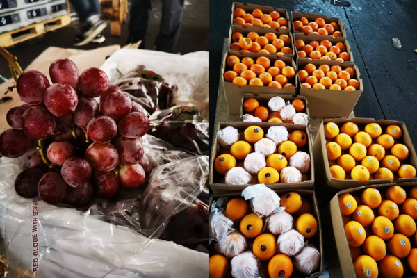 Sales of cherries in the market differentiate, while citrus sales are ...