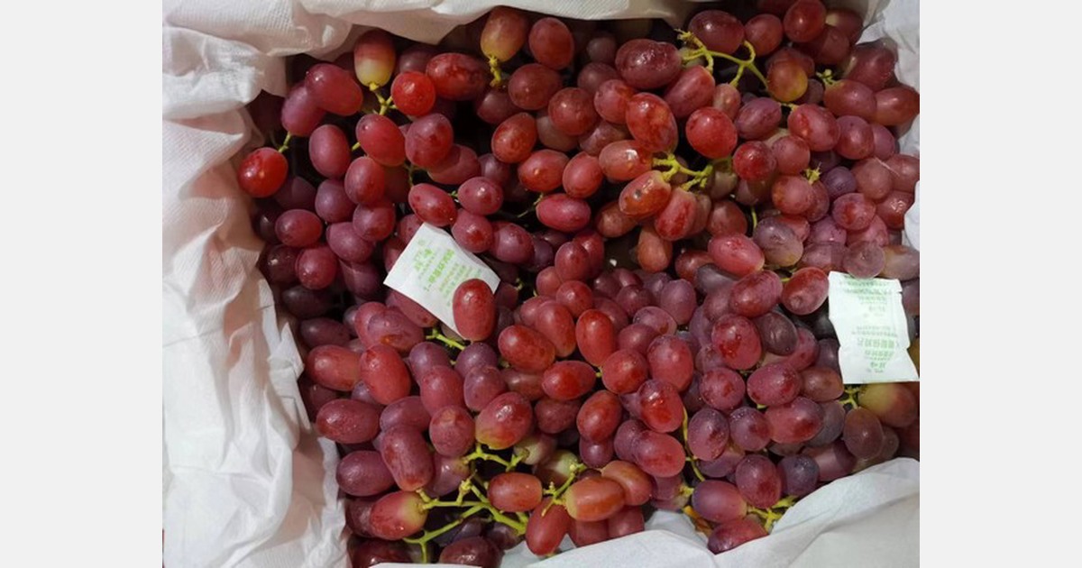 "Our fresh-keeping sachets for retail can extend the shelf life of ...