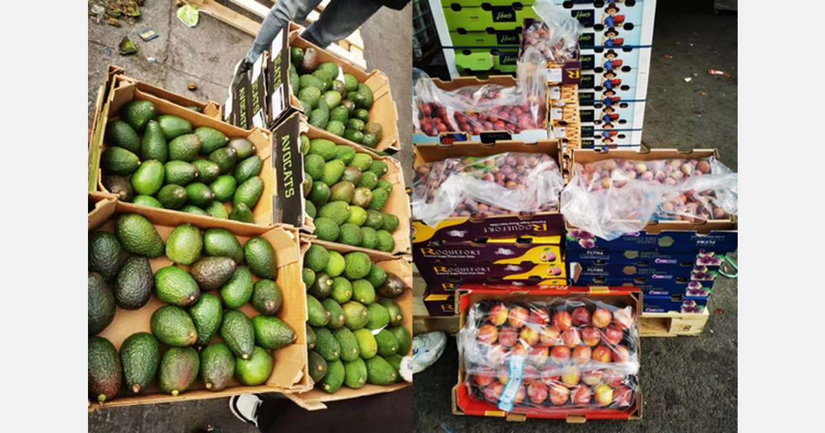 China: Avocado prices rise sharply, Australian prune market hit by ...