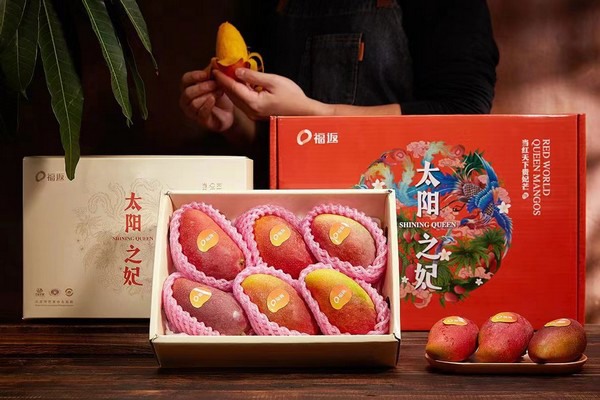 "The export volume of Sanya tree-ripened Guifei mango increased by 20%"