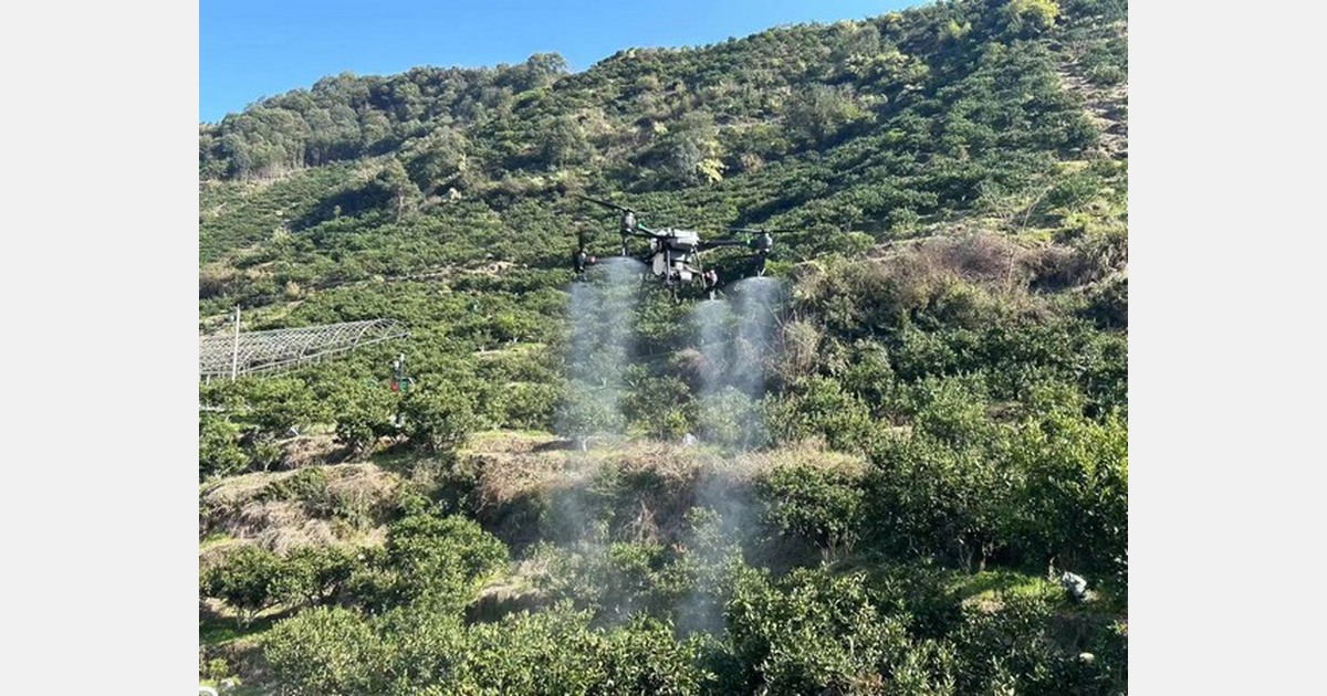 "With the help of UAV protection technology, orchard operations have ...