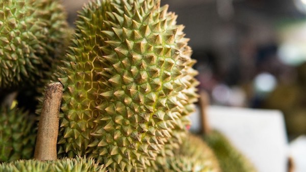 First ever arrival of Philippines durians in China