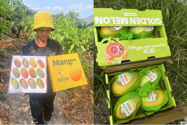 "The quality of Hainan fruit is stable, but market demand this year is ...