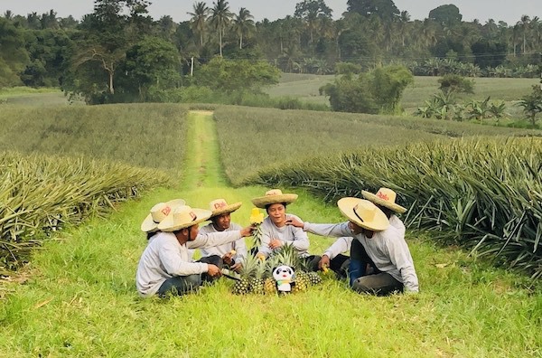 Dole China celebrates first of Philippines fresh durians by sea