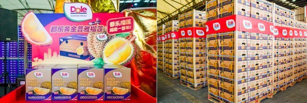 Dole China celebrates first of Philippines fresh durians by sea