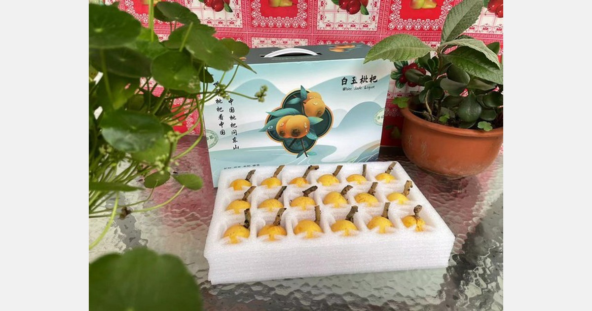 "Cold waves reduced loquat production"