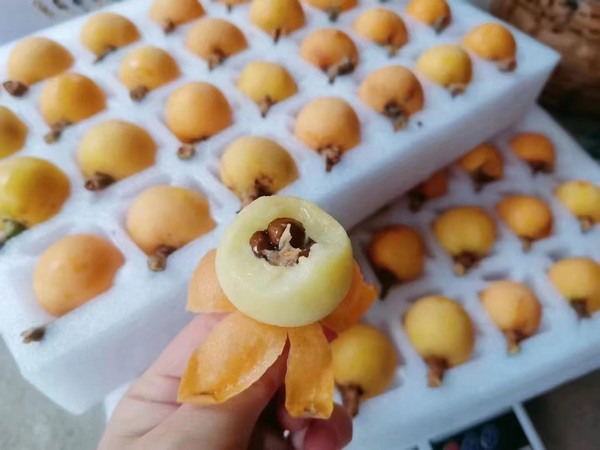 "Cold waves reduced loquat production"