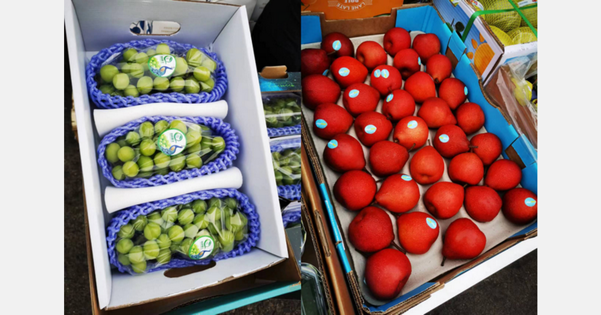 New Zealand's red pears are on the market, and the price of blueberries ...