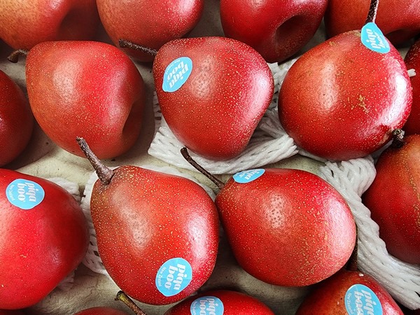 New Zealand red pear PiqaBoo® gently combines Chinese, Japanese and ...