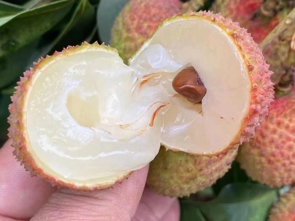 "The production and sales of lychees in Hainan far exceeded last year."