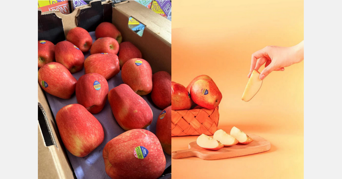 "We are committed to keeping prices stable for Sonya apples"