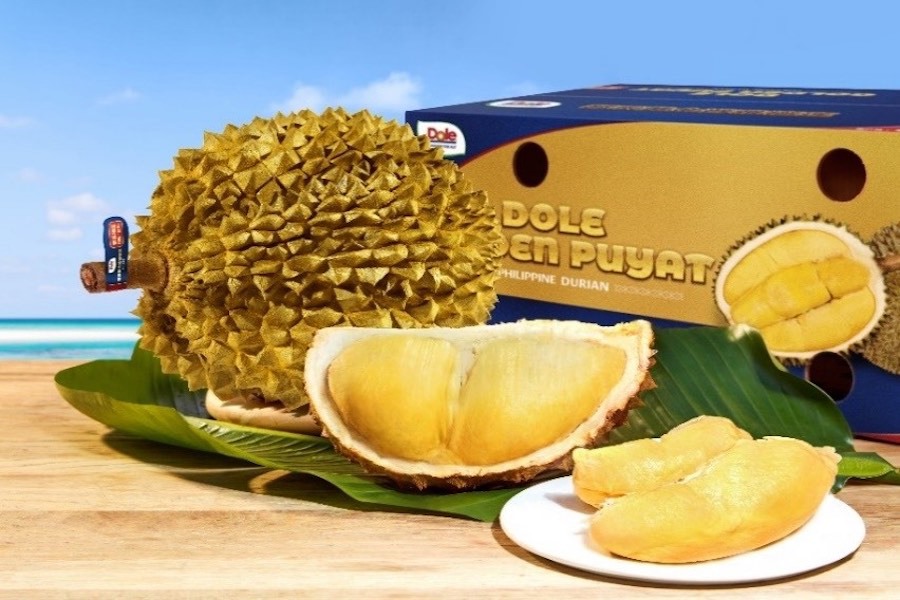 Dole China launches new season Philippine Golden Puyat durian