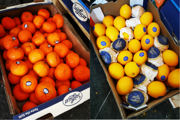 The arrival of plums and South African citrus increases, and the market ...