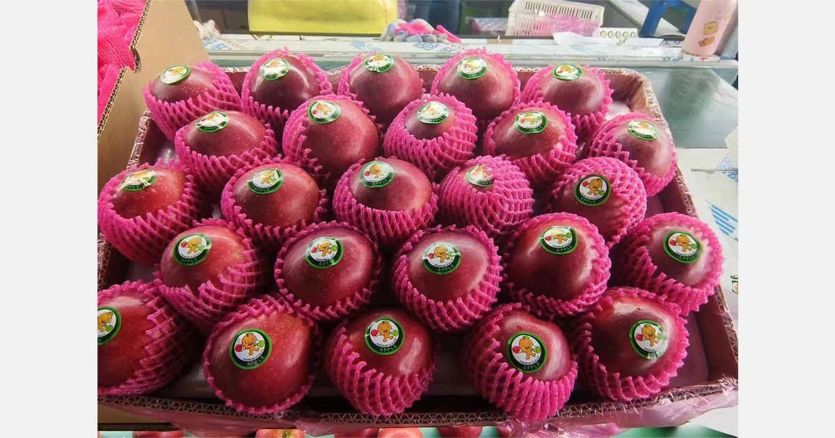 "Apple prices have increased by 30% compared with last year, export ...