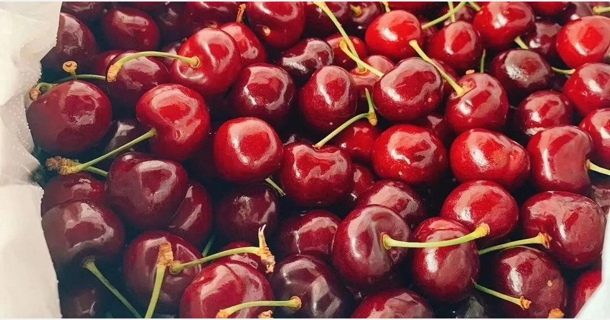 The first batch of sea-freight Chilean cherries arrives in the Chinese ...