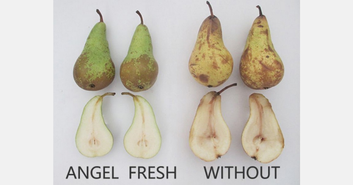 "We introduced a range of preservative products tailored for fresh ...