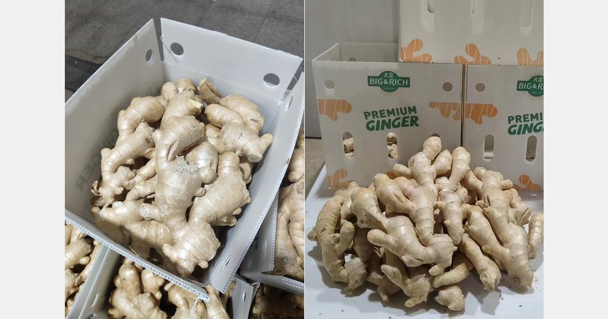 "Ginger market demand continues to increase, and soaring shipping costs ...