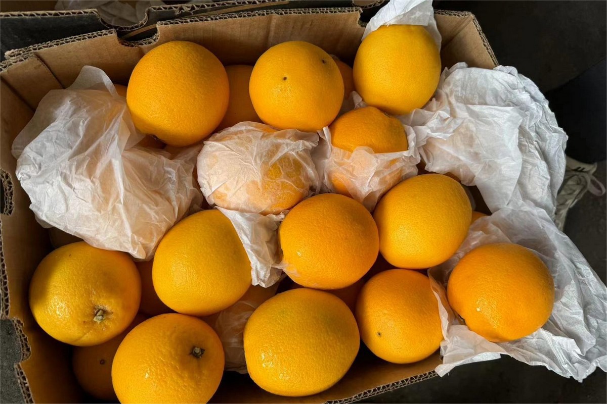 "Compared to navel oranges, the current performance of imported ...