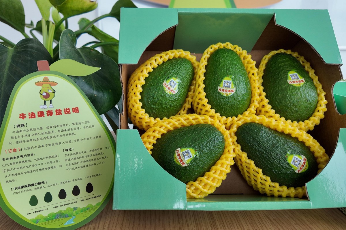 "We cultivate high-quality avocados by improving the soil"