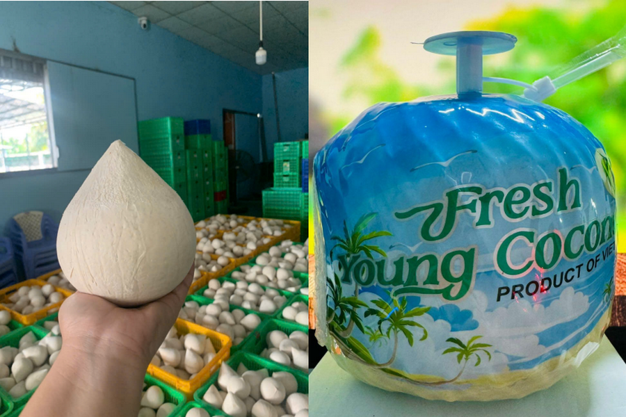 "Vietnamese coconut arrivals set to surge in December"