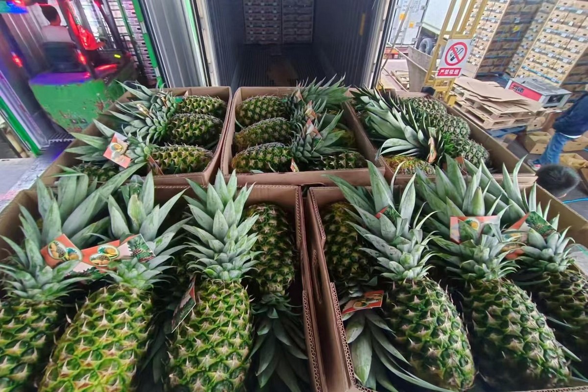 "The pineapple industry requires an upgrade, and the prospects for ...