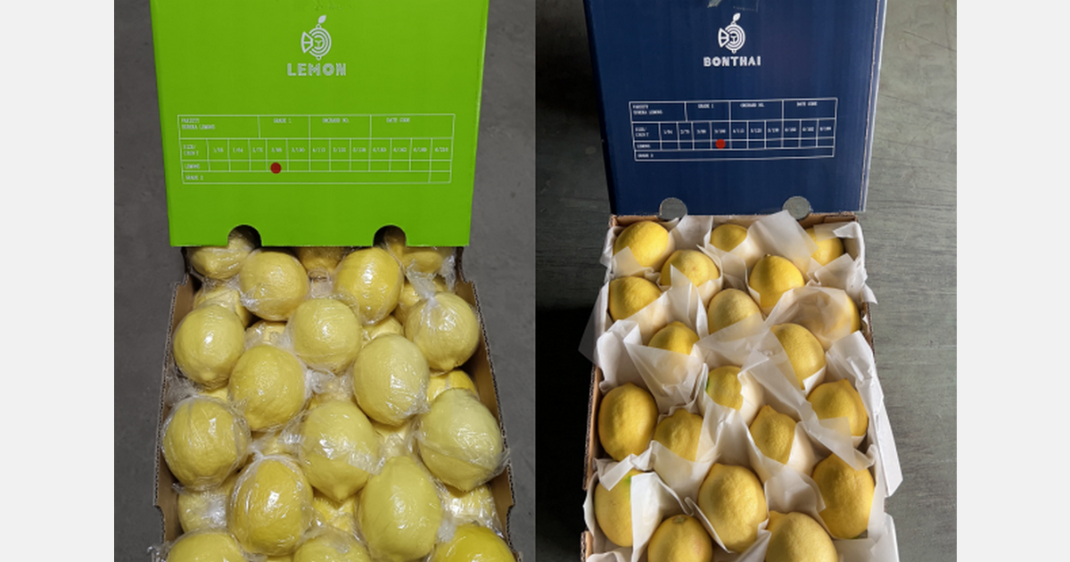 "Sichuan lemon harvest will end early, while current prices surge"