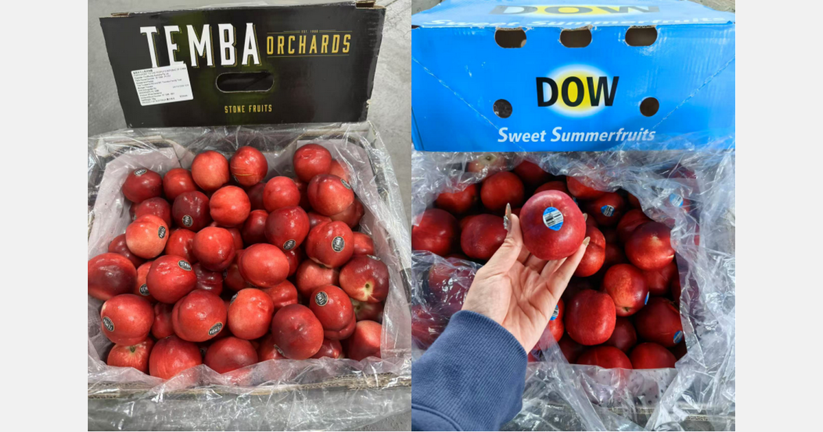 "At present, a box of nectarines is priced around 10–15% lower than the ...