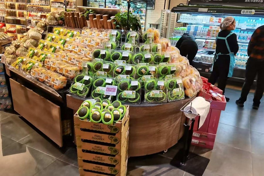 Mr. Avocado launches a new ripening center in East China