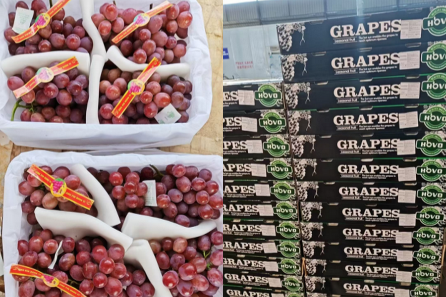 "We are exploring ways to export more grape varieties and smaller ...