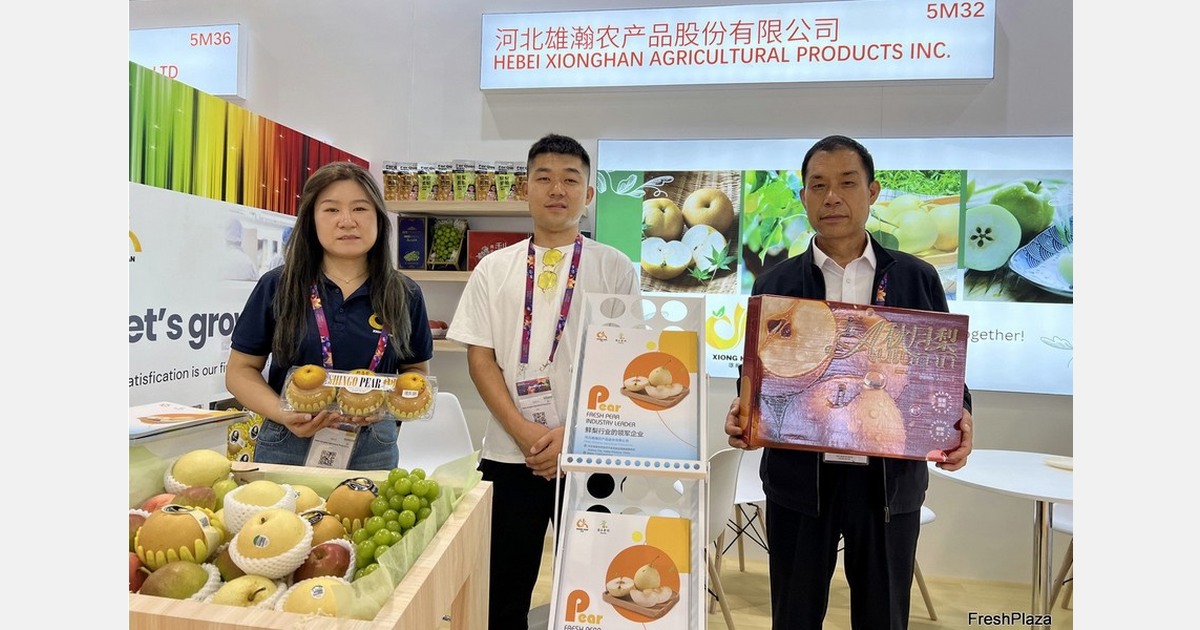 Hebei's fresh pear production declined by 10%, but exports to Indonesia ...