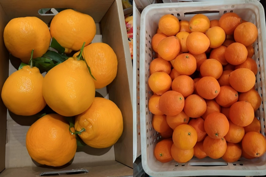 "The peak season for citrus exports before the Chinese New Year ends ...